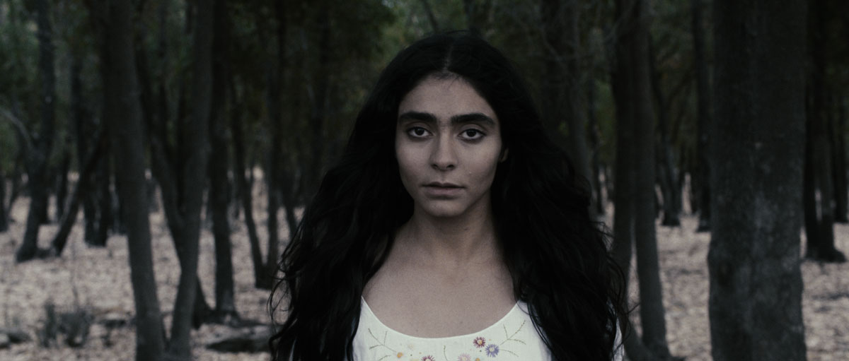 Shirin Neshat’s "Women Without Men" premiered in NY! » DooBeeDooBeeDoo NY
